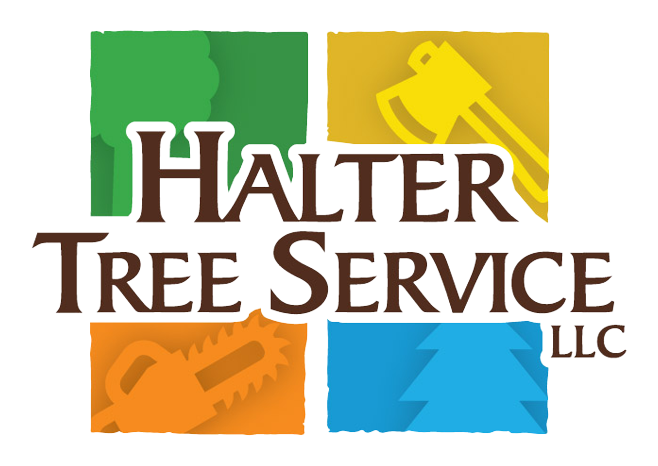 Tree Removal & Tree Maintenance Services - Halter Tree Service